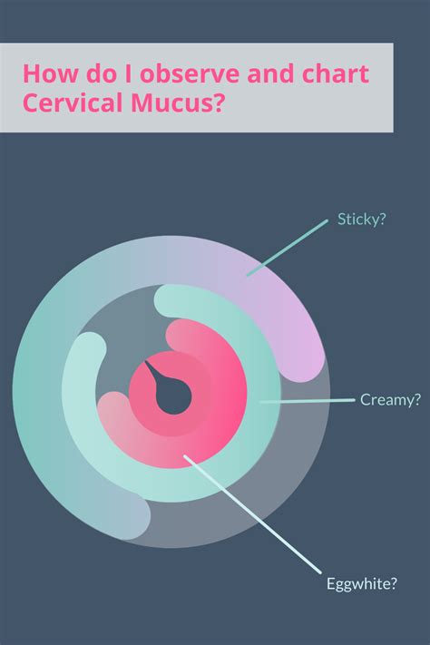 How Do I Observe And Chart Cervical Mucus Cervical Mucus Fertility