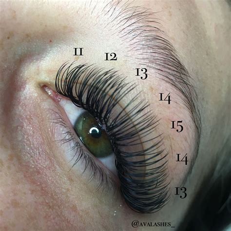 Ava Lashes Eyelash Extensions Classic Mink Dd Curl Lash Mapping Semi