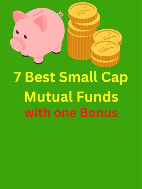 7 Best Small Cap Mutual Funds Top Performing