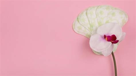 7 Penyebab Dan Cara Mengatasi Keputihan Bau Amis Tidak Sedap