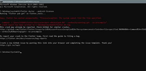 [tool crash] processexception the system cannot find the file