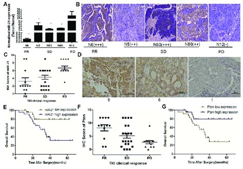 Mir 21 Pten Expression Levels And Their Relationship With Tki