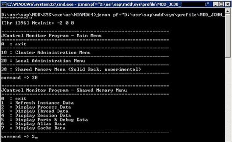 analysing sap java memory usage in windows musings of an it implementor