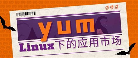 【linux】linux中yum的使用 linux yum 蒋灵瑜的笔记本的博客 csdn博客