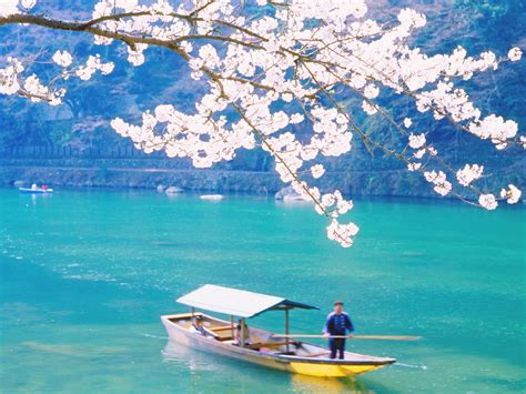 京都・嵐山 貸切遊覧船 早朝の水面を渡る優雅な舟遊び 西日に 京都の観光and遊び・体験・レジャー専門予約サイト Veltra ベルトラ