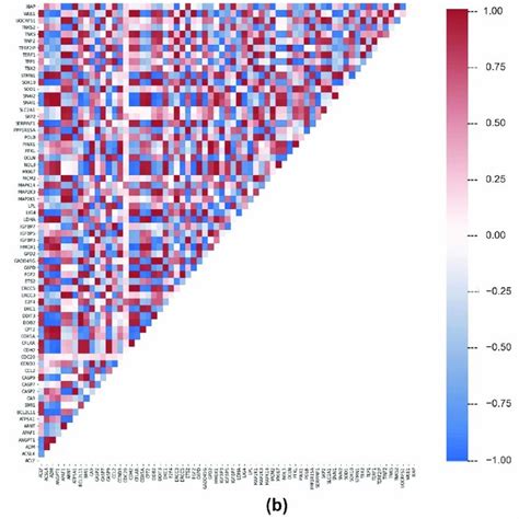 Pearson Correlations Between Gene Expression Profiles Of Analysed Cell