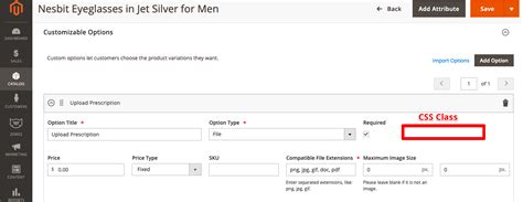 magento2 magento 2 add new custom option as a text field magento