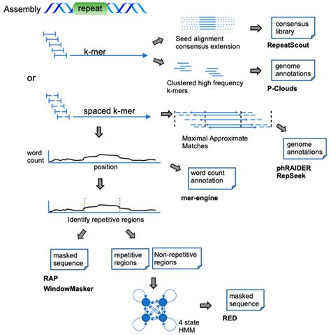 Genes Free Full Text Methodologies For The De Novo Discovery Of