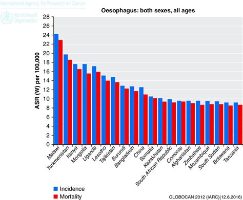 2 Age Standardised Incidence And Mortality Rates For The Top 20