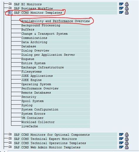 sap basis tutorials ccms availability and performance