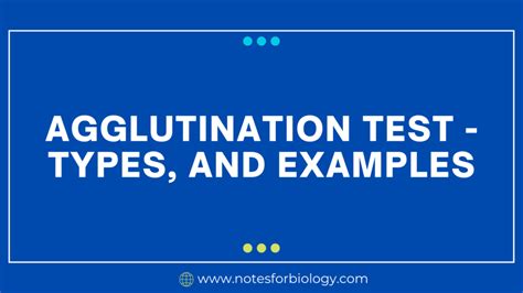 Agglutination Test Types And Examples Best Biology Notes