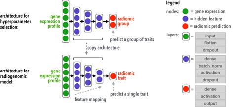 figure s3 the architecture and hyperparameter tuning of a radiogenomic