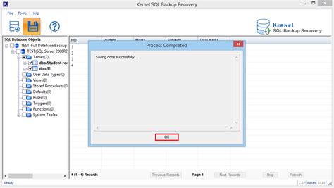 sql server restoration with the norecovery option