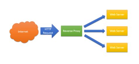 wordpress nginx as reverse proxy bwods