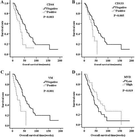 Clinical Significances And Prognostic Value Of Cancer Stem‐like Cells