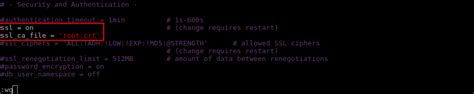 ssl connection to postgresql jelastic dev docs