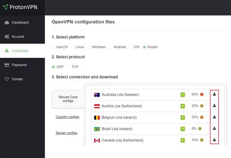 protonvpn manual openvpn setup dd wrt openvpn support