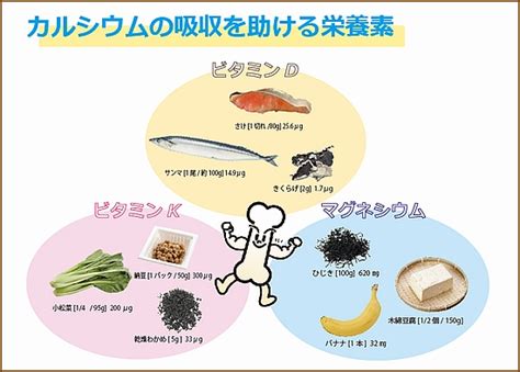 食事で骨粗鬆症の改善方法｜原因と予防する栄養素の基本 志木駅の整体イーバランス整体院｜皆様のお悩みや痛みを根本改善