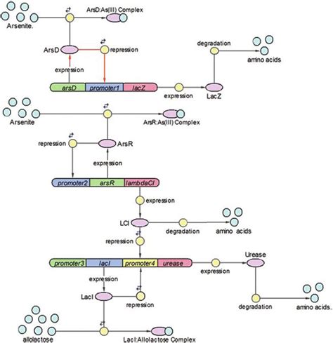 Schematic Diagram Of The Complete Biosensor System Download