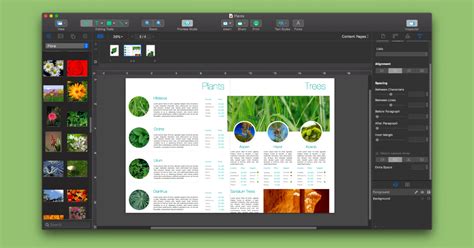 dtp software list swift publisher for mac