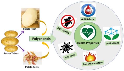 Antioxidants Free Full Text Genetic Diversity And Health Properties