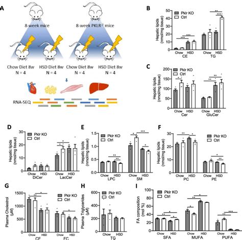 Analysis For Liver Lipidomics Profile Of 8 Week Wild Type And Pklr Ko
