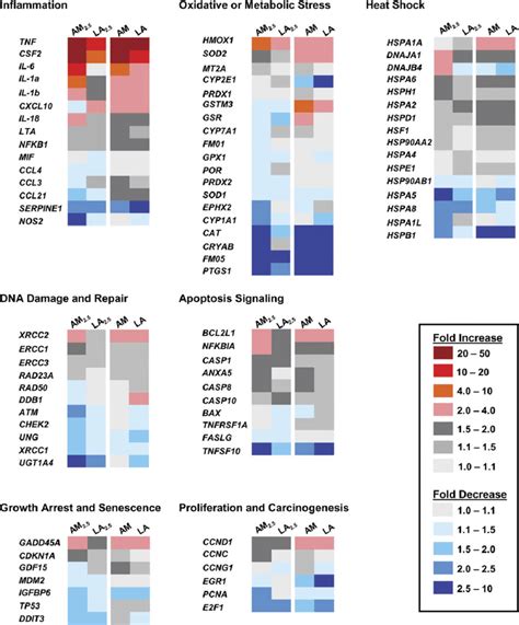 Gene Expression Heat Maps For Each Of The Seven Stress Responsive