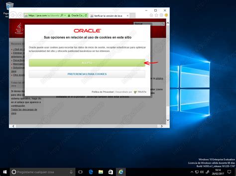 java update windows 10 pr fen tidegems