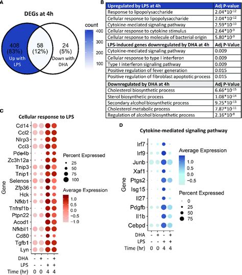 Dha Inhibits Inflammatory Signaling Pathways At 4 H Post Lps Treatment