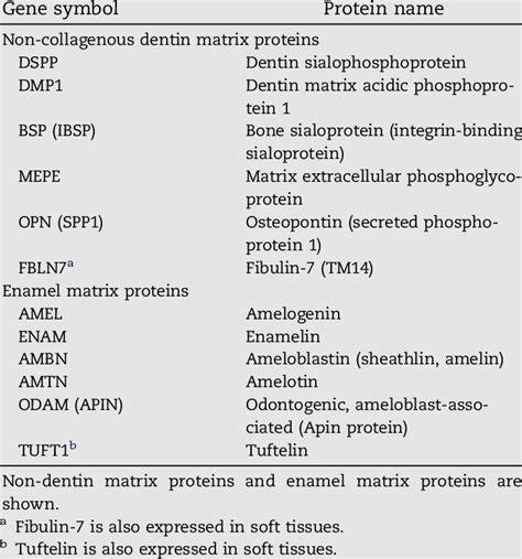 Extracellular Matrix Proteins In Dentin And Enamel Download Table
