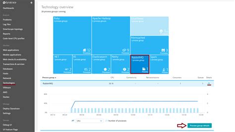 introducing rabbitmq monitoring dynatrace news