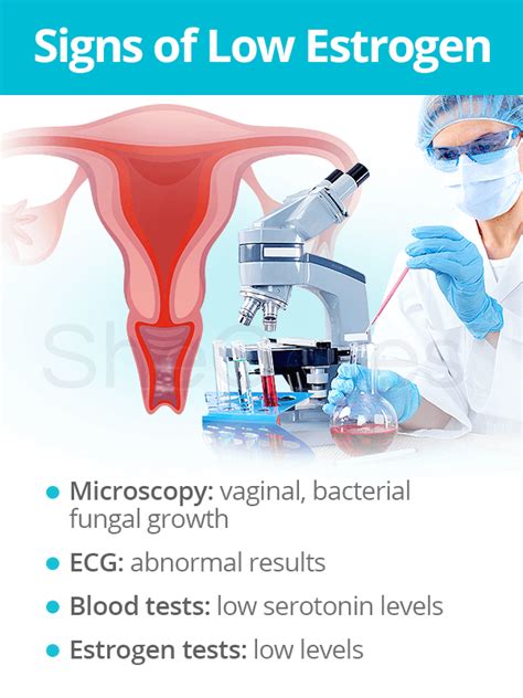 Signs And Symptoms Of Low Estrogen Shecares