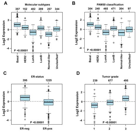 Elevated Mrna Expression Levels Of Dlgap5 Are Associated With Poor