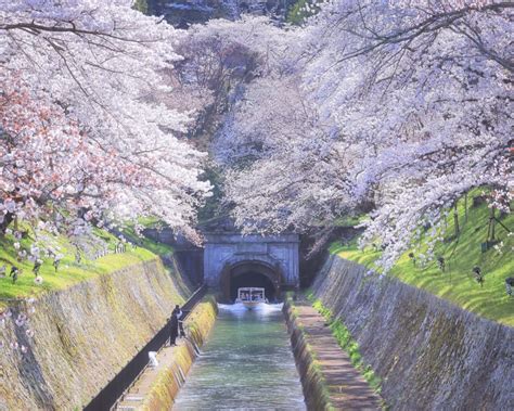 「外国人にとって日本の魅力とは？」連続講座の文化違い編が8月21日、9月11日にオンライン開催 外国人女性の会パルヨン