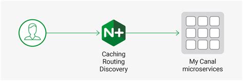 canal upgrades from nginx open source to nginx plus to support its