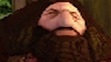 Hagrid Goes Off To The Leaky Cauldron Know Your Meme