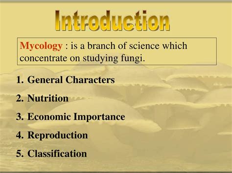 Ppt Mycology Powerpoint Presentation Free Download Id 2965039