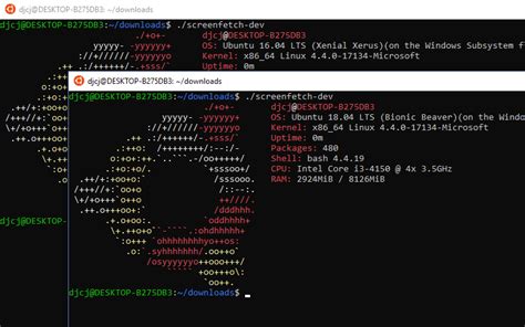 screenfetch windows