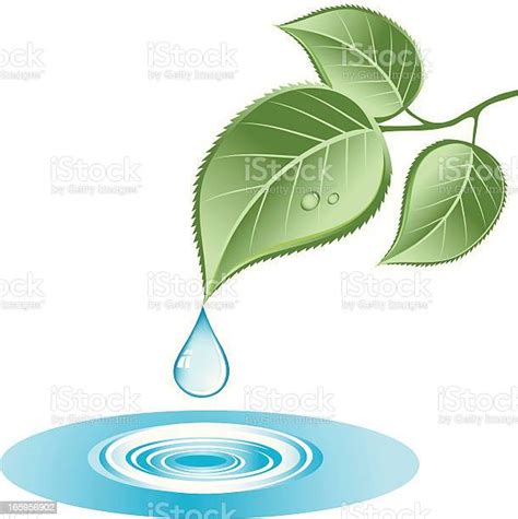 Ondulation De Leau Vecteurs Libres De Droits Et Plus Dimages