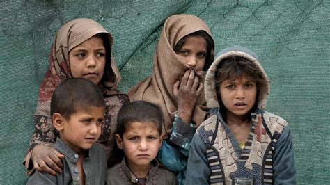 اليونيسيف مقتل أكثر من 50 طفلا في أفغانستان خلال أسبوع بوابة الأهرام