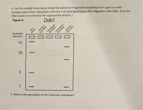solved lab introduction to biotechnology activity 1 1