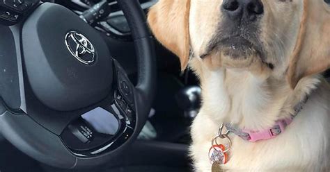 Get In Loser Were Going Shopping Album On Imgur