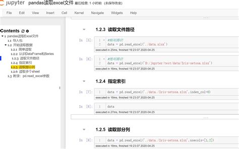 python jupyter 之pandas读取excel文件（相对 绝对路径，认识dataframe、series，选择索引、列、多个