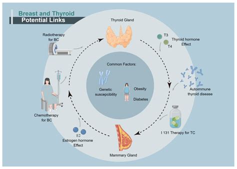 Cancers Free Full Text Links Between Breast And Thyroid Cancer
