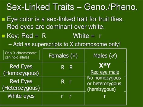 Chromosomal Basis Of Inheritance And Sex Linked Genes Ppt Download