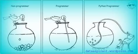 home about data scientists interviews for beginners