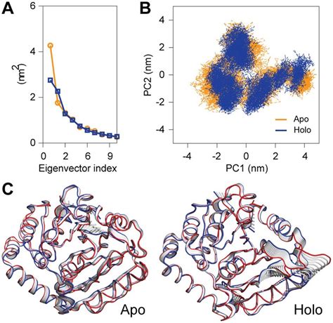 principal component analysis pca of apo and holo conformers gtpase