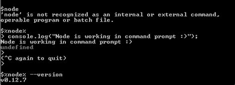 ozinisle node is not recognized as an internal or external command