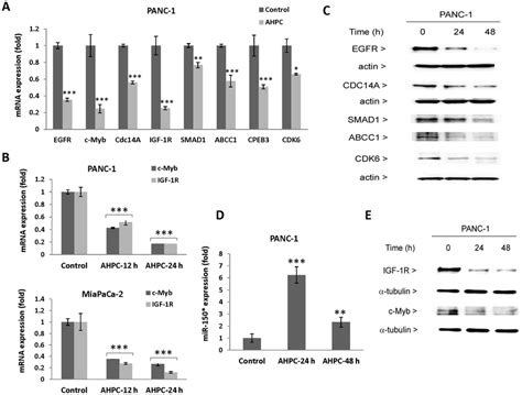 3 Cl Ahpc Mediated Expression Of Microrna Targets In Pancreatic Cancer