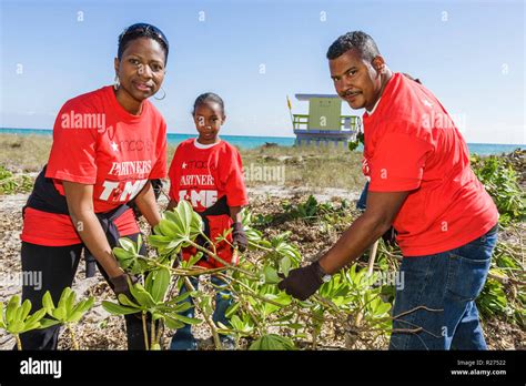 Miami Beach Florida Surfrider Foundation Exotic Invasive Species Plant